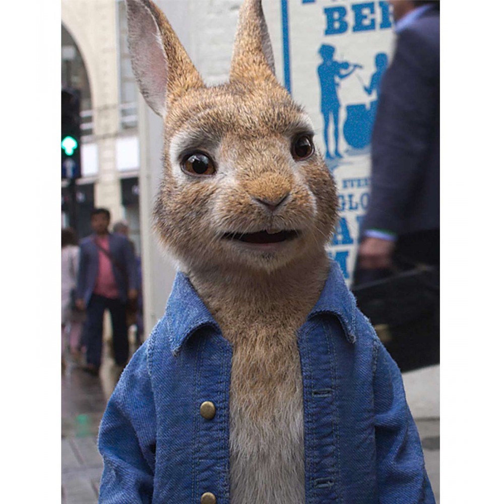 Peter Rabbit 2 The Runaway Denim Blue Jacket