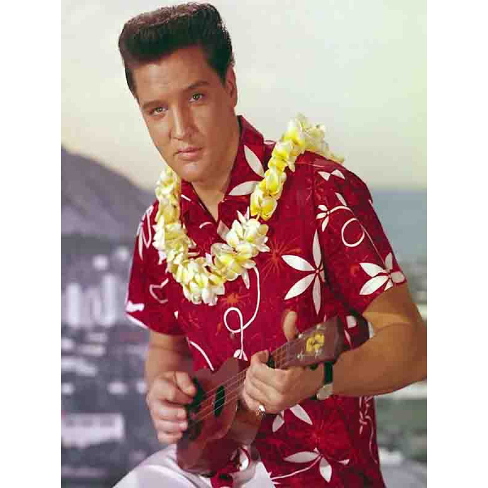 lvis Presley Blue Hawaii Red Hawaiian Shirt | Chad Gates Vintage Aloha ...